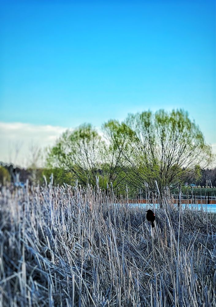 ESTHER SIMPLOT PARK - Updated October 2025 - 80 Photos & 16 Reviews ...