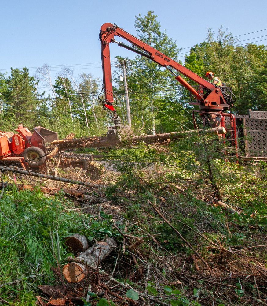 RICK’S TREE & STUMP REMOVAL - Updated August 2025 - 4168 W Calvary Rd ...