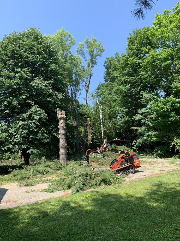 Carr Tree & Timber - Serving Jamaica, VT - Updated November 2025 - 10 ...