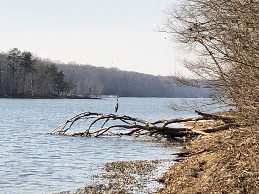 BURKE LAKE PARK - Updated November 2025 - 876 Photos & 200 Reviews ...