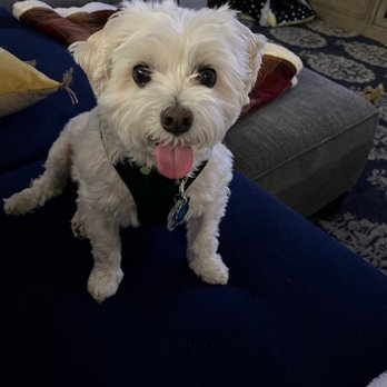 SOUTH COUNTY ANIMAL HOSPITAL - Updated July 2024 - 58 Photos & 130 ...