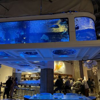 MRS FISH - 4209 Photos & 1647 Reviews - 448 South Hill St, Los Angeles ...