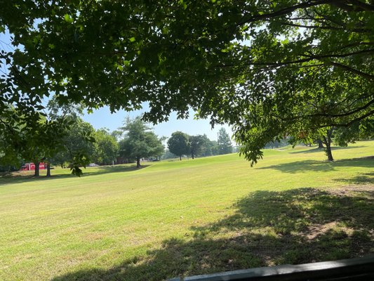 VINNYLINKS GOLF COURSE - 52 Photos & 12 Reviews - 2009 Sevier St ...