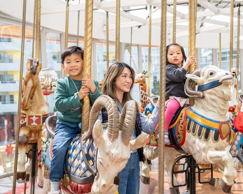 LEROY KING CAROUSEL - Updated December 2025 - 121 Photos & 102 Reviews ...