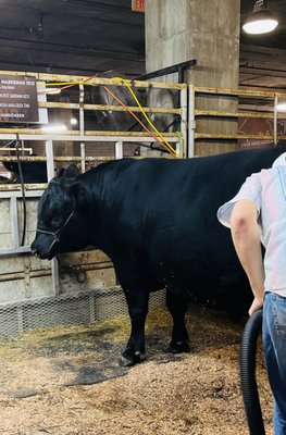 AMERICAN ROYAL COMPLEX - Updated October 2025 - 1701 American Royal Dr ...