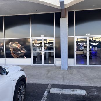 STRICTLY REEF - Updated December 2025 - 122 Photos & 68 Reviews - 907 W ...