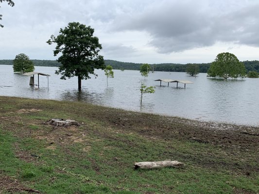 THE LAKESHORE TREEHOUSE RESORT - Updated July 2024 - 10 Photos - 1446 N ...