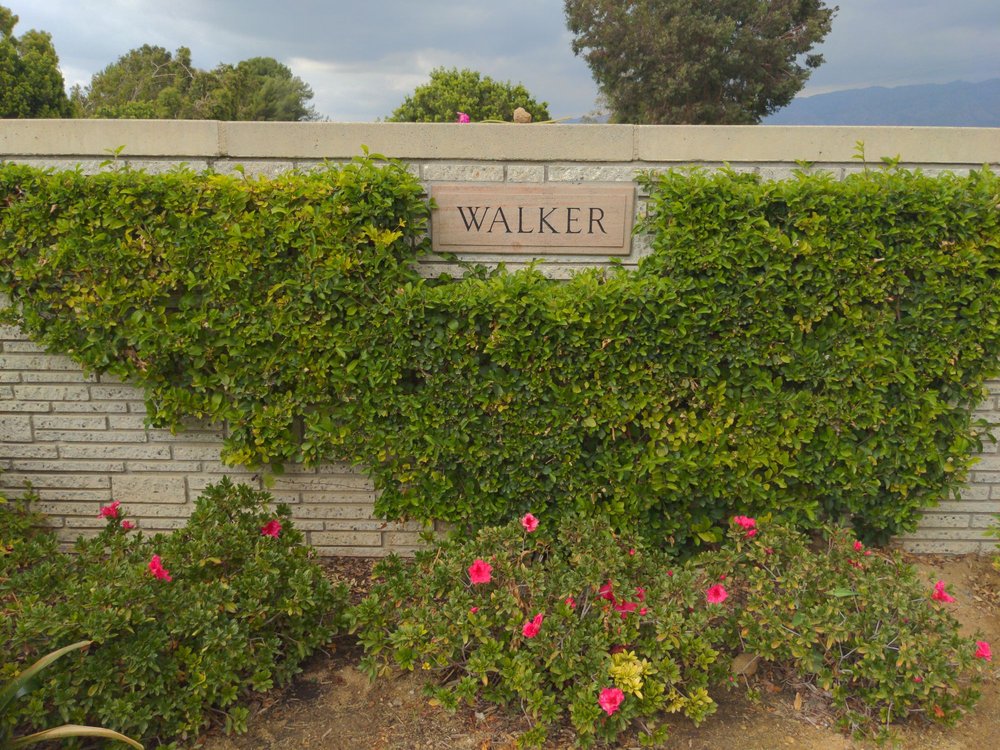 GRAVE OF PAUL WALKER - Updated October 2025 - 6300 Forest Lawn Dr, Los ...