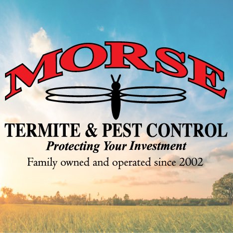 MORSE TERMITE & PEST CONTROL - Updated October 2025 - 20 Reviews - 5654 ...