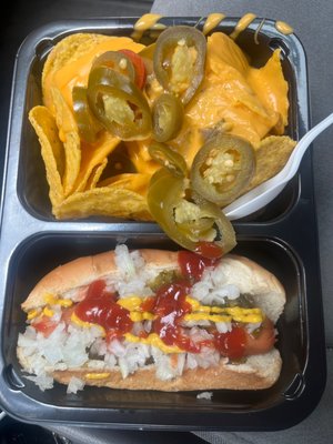 RUFUS DOGS OF TALLAHASSEE - 4021 Lagniappe Way, Tallahassee, Florida ...