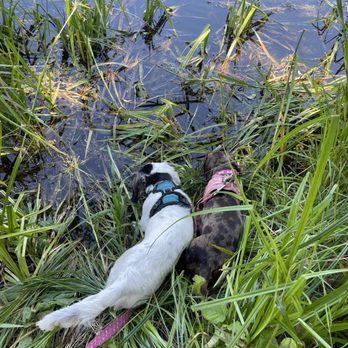 LAKE SOLANO COUNTY PARK AND CAMPGROUND - Updated June 2025 - 142 Photos ...