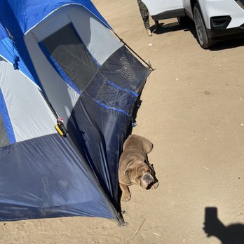 MOON ROCKS - Updated October 2025 - 45 Photos - Reno, Nevada - Active ...