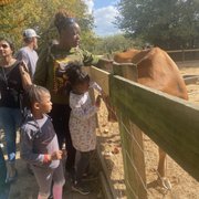 BJ REECE ORCHARDS - 342 Photos & 138 Reviews - 9131 Hwy 52 E, Ellijay ...