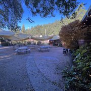 THE PEG HOUSE - 252 Photos & 206 Reviews - 69501 US-101, Leggett, CA - Yelp