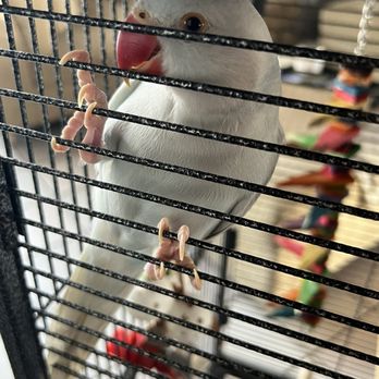 MAGNOLIA BIRD FARM - Updated February 2025 - 149 Photos & 202 Reviews ...