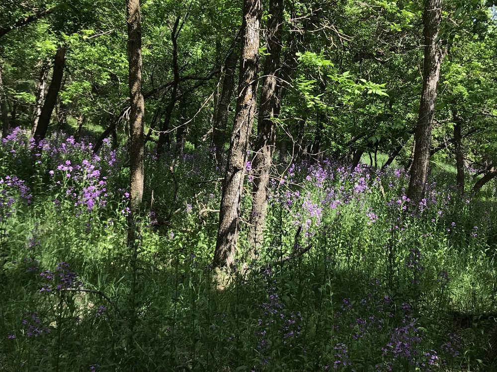 FORT RANSOM STATE PARK - Updated May 2024 - 34 Photos - 5981 Walt ...