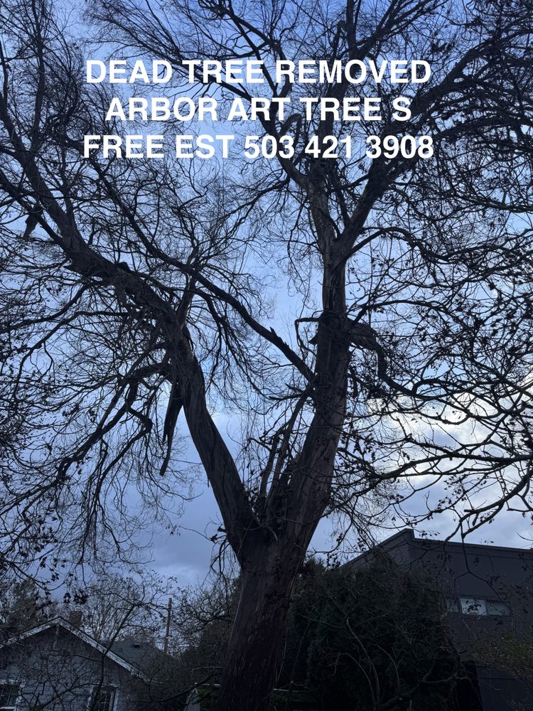ARBOR ART TREE SERVICE - Updated April 2025 - 19 Photos & 11 Reviews ...
