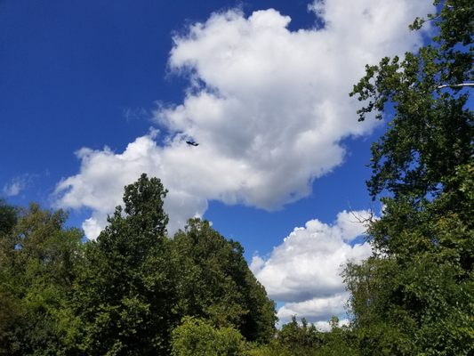 CARMODY PARK - Updated December 2025 - 17 Photos - 7499 Martz Paulin Rd ...