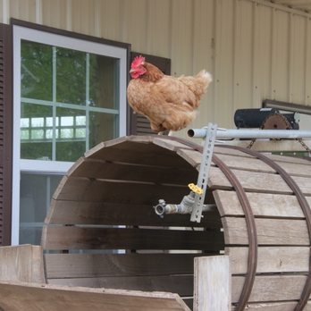 RUSTIC ROAD FARM - Updated December 2025 - 70 Photos & 22 Reviews ...