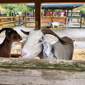 QUEENS ZOO - Updated September 2025 - 1111 Photos & 219 Reviews - 5351 ...