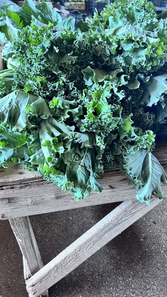 ROTTCAMP BROTHERS FARM - Updated December 2025 - 43 Photos & 45 Reviews ...