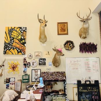 THE INSECT ASYLUM - Updated December 2025 - 65 Photos & 15 Reviews ...