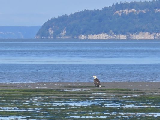 JETTY ISLAND - Updated April 2026 - 80 Photos & 36 Reviews - 1700 W ...