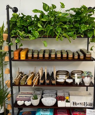 THE STANDARD DESIGN GROUP NURSERIES - Updated July 2025 - 238 Photos ...
