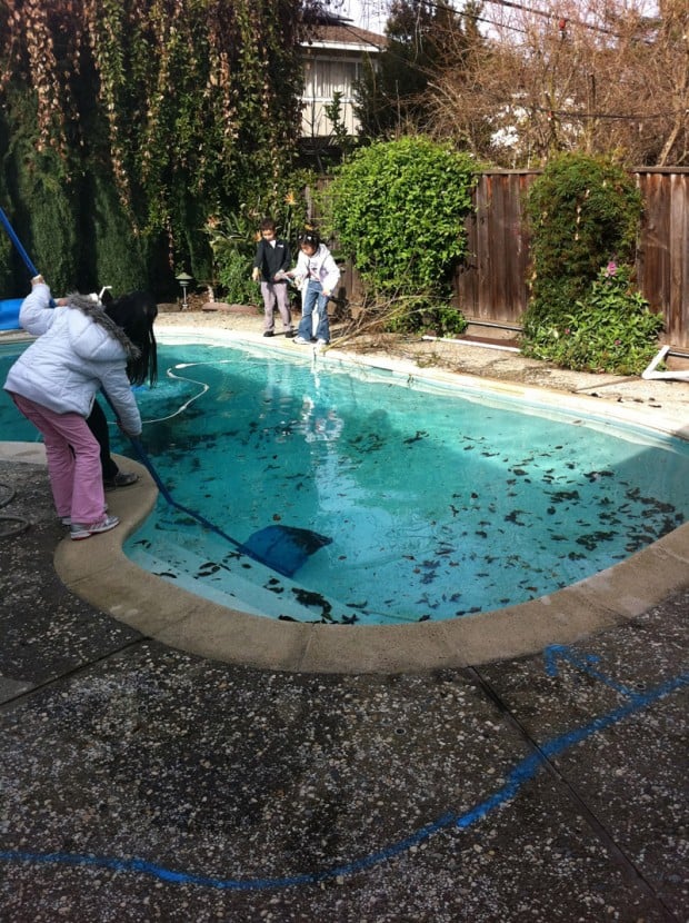 RICHIE BOBCAT POOL REMOVAL SERVICE - Updated July 2025 - 80 Photos & 55 ...