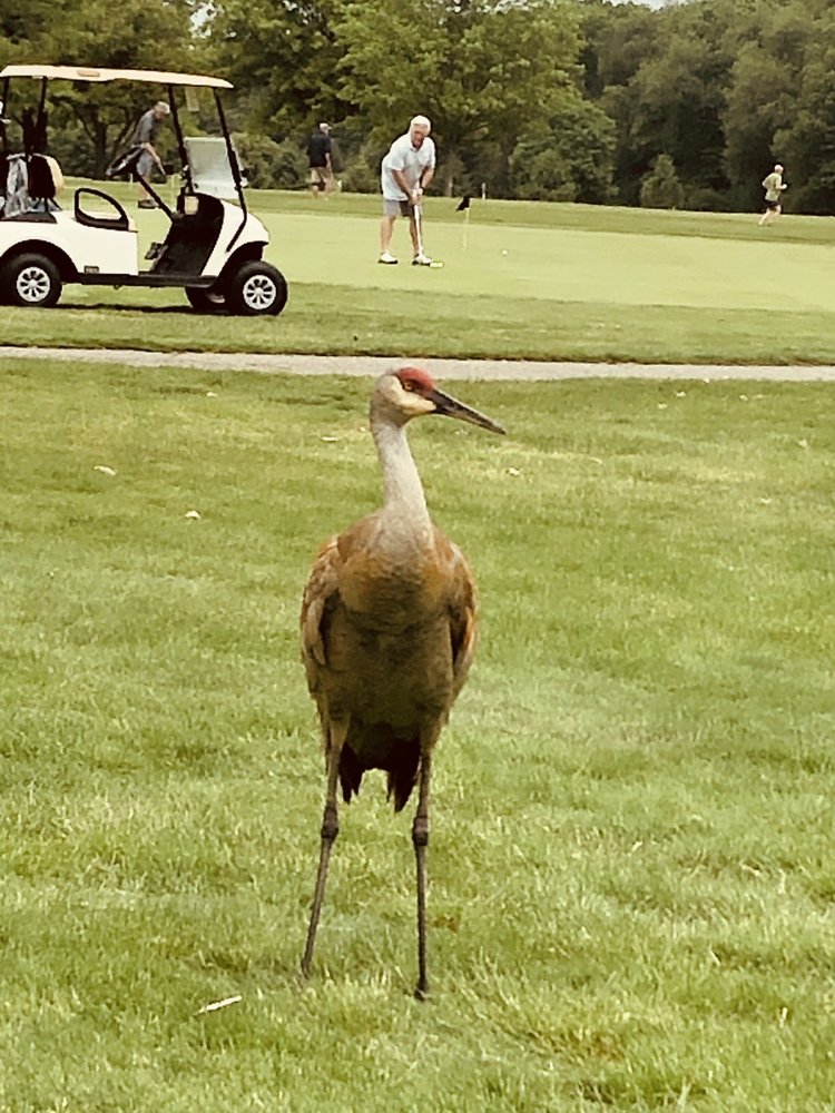 HURON MEADOWS GOLF COURSE MDWS METROPARK GOLF CRSE - Updated June 2025 ...