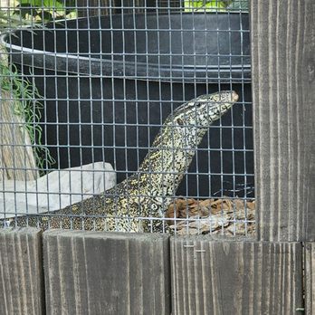 ALLIGATOR ALLEY - Updated December 2025 - 507 Photos & 185 Reviews ...