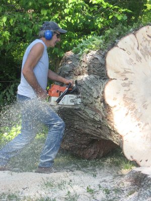 CECIL TREE SERVICES - Updated October 2025 - 120 Goosemar Road Ext ...