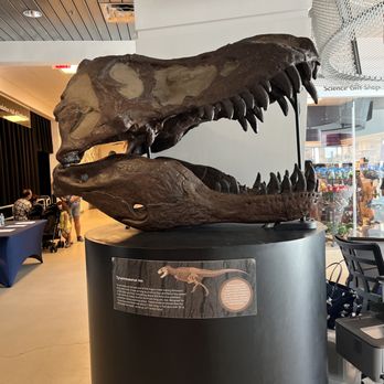 COX SCIENCE CENTER & AQUARIUM - Updated June 2025 - 552 Photos & 171 ...