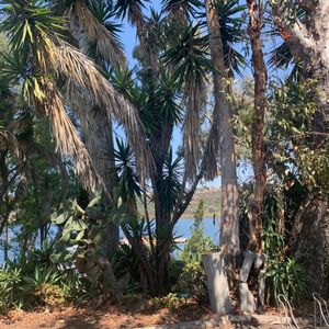 LOWER OTAY LAKES BOAT LAUNCH & PARK - Updated October 2024 - 24 Photos ...