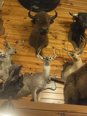 CLEM MIKESKA’S BBQ - Updated December 2025 - 104 Photos & 221 Reviews ...