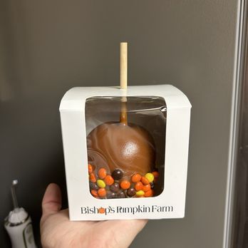 BISHOP’S PUMPKIN FARM - Updated September 2025 - 1182 Photos & 587 ...