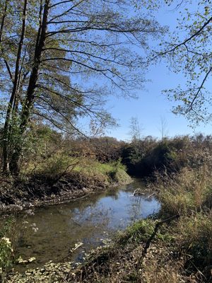 SPRINGBROOK PRAIRIE FOREST PRESERVE - Updated December 2025 - 126 ...