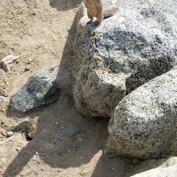 WHITE POINT NATURE PRESERVE - Updated December 2025 - 283 Photos & 35 ...