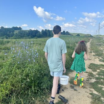 HYDE FARMS - Updated December 2025 - 12 Photos - 7545 Hwy 411 S ...