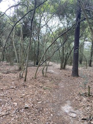 CULLEN PARK - Updated October 2025 - 41 Photos & 37 Reviews - 19008 ...