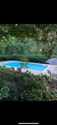 PAWS FOR FUN - Updated July 2025 - Parkton, Maryland - Pet Sitting ...