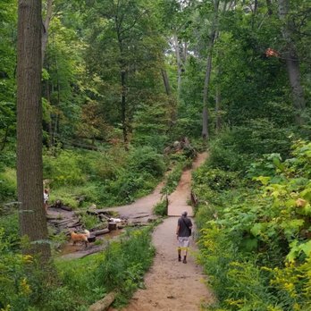 GLEN STEWART RAVINE - Updated October 2025 - 174 Photos - Glen Manor ...