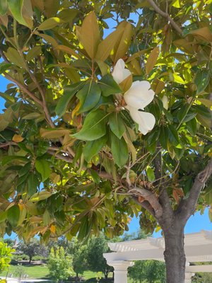 VAIL RANCH PARK - Updated March 2025 - 34 Photos & 28 Reviews - 32965 ...