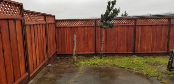 REUBEN BORG FENCE - Updated January 2026 - 851 Photos & 1094 Reviews ...