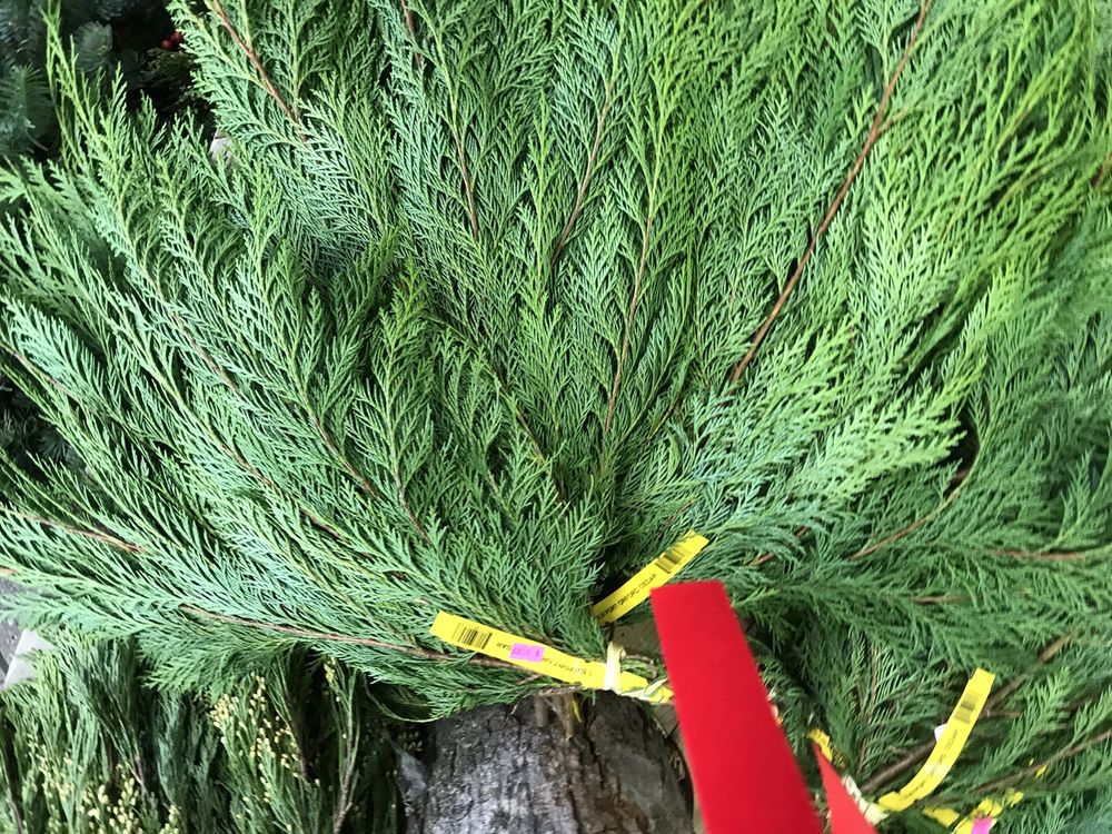 ALLEMON’S LANDSCAPE CENTER - 54 Photos & 13 Reviews - Nurseries ...