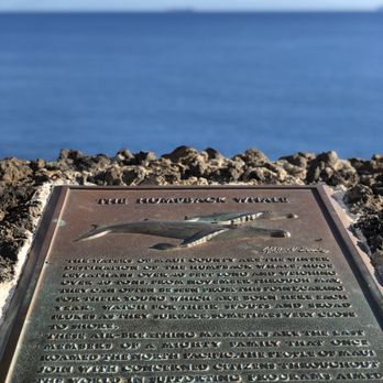 PAPAWAI LOOKOUT - Updated December 2025 - 154 Photos & 21 Reviews - 16 ...