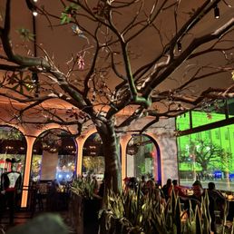 MI VIDA - Updated September 2025 - 2817 Photos & 1544 Reviews - 98 ...