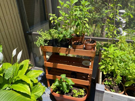 MENORAH HOUSE - Updated January 2026 - 35 Photos & 23 Reviews - 9945 ...