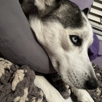 SANTA BARBARA HUMANE - Updated January 2026 - 55 Photos & 46 Reviews ...