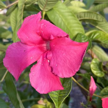 MEADOWS PARK - Updated December 2025 - 33 Photos - 1300 NW 8th St, Boca ...